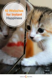 The 10 Happiest Places We've Found on the Internet | Life by Daily Burn