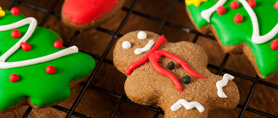 Your Body on Cookies